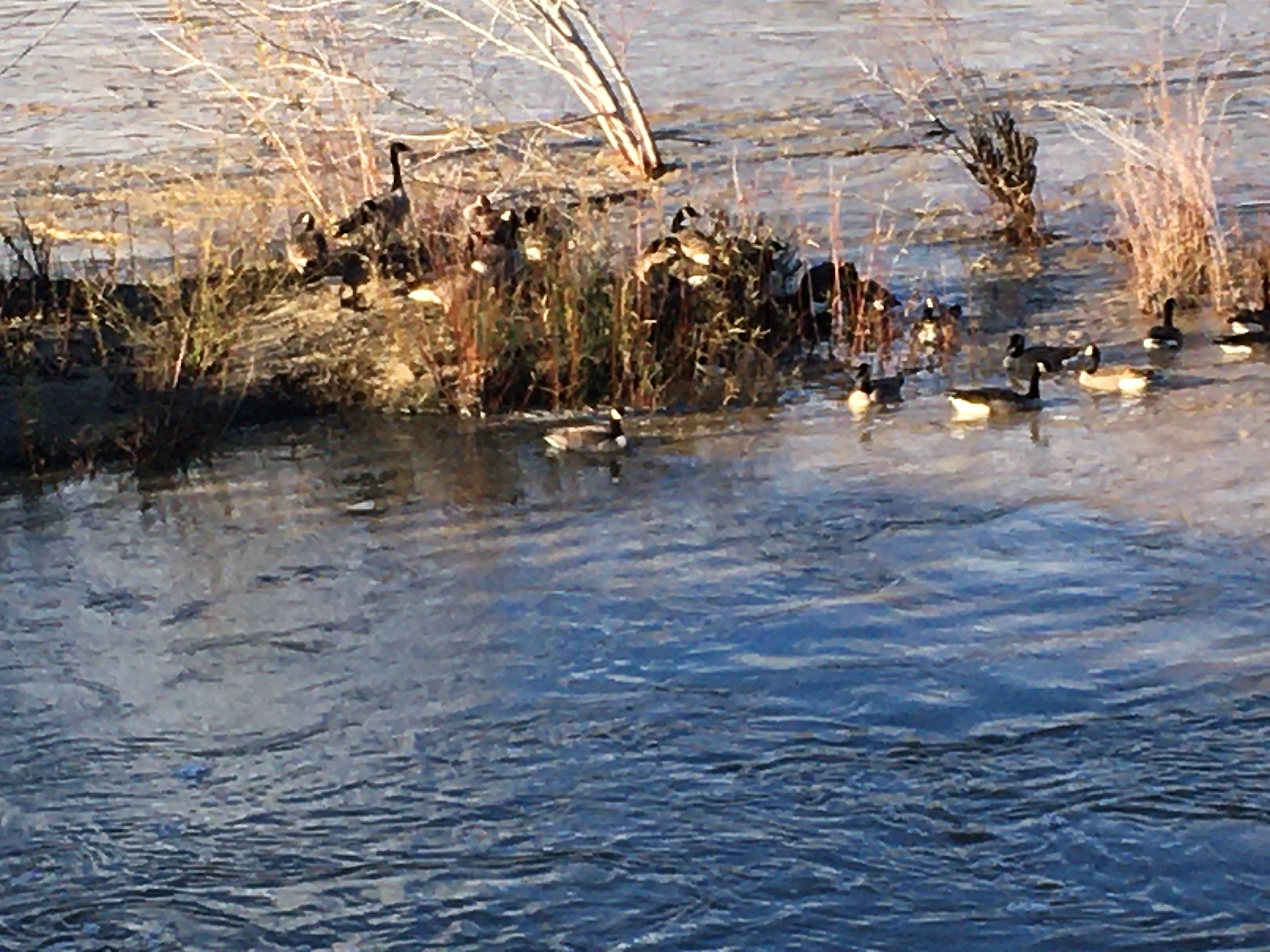 Flood waters: A week of flow going – Every New Season